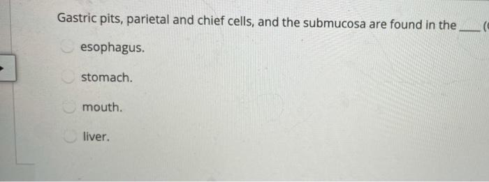 Solved Gastric pits, parietal and chief cells, and the | Chegg.com