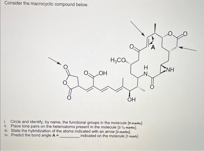Solved Consider the macrocyclic compound below. i. Circle | Chegg.com