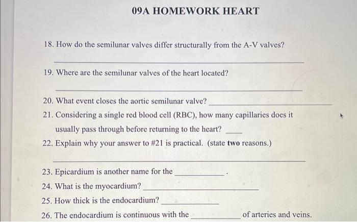 Solved 18. How do the semilunar valves differ structurally | Chegg.com