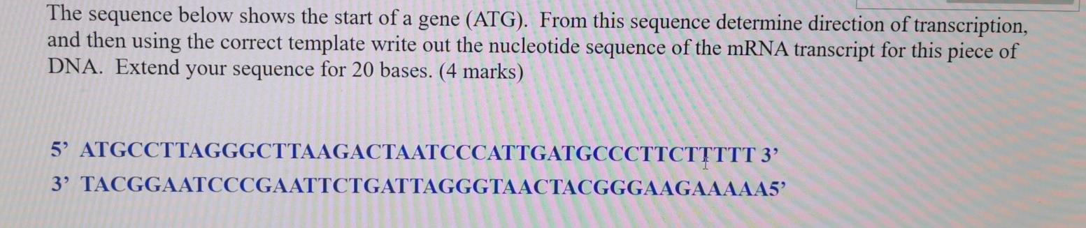 Solved The sequence below shows the start of a gene (ATG). | Chegg.com