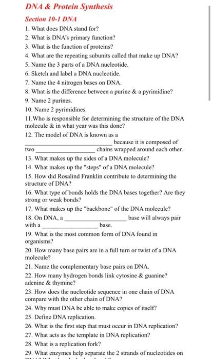 Section 12 1 Dna What Is The Makeup Of A Nucleotide | Saubhaya Makeup