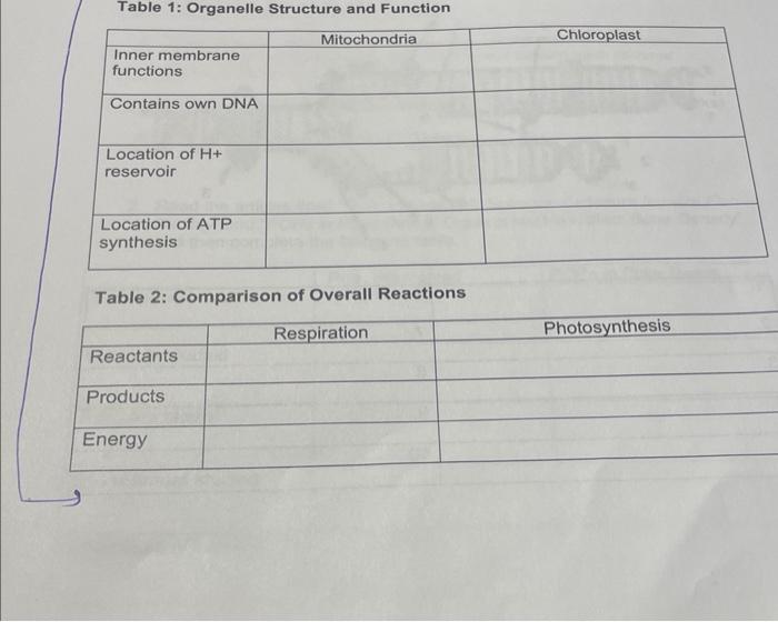 Solved Table 1: Organelle Structure and Function Table 2: | Chegg.com
