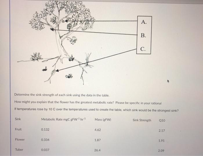 Solved A. B. C. Determine the sink strength of each sink | Chegg.com