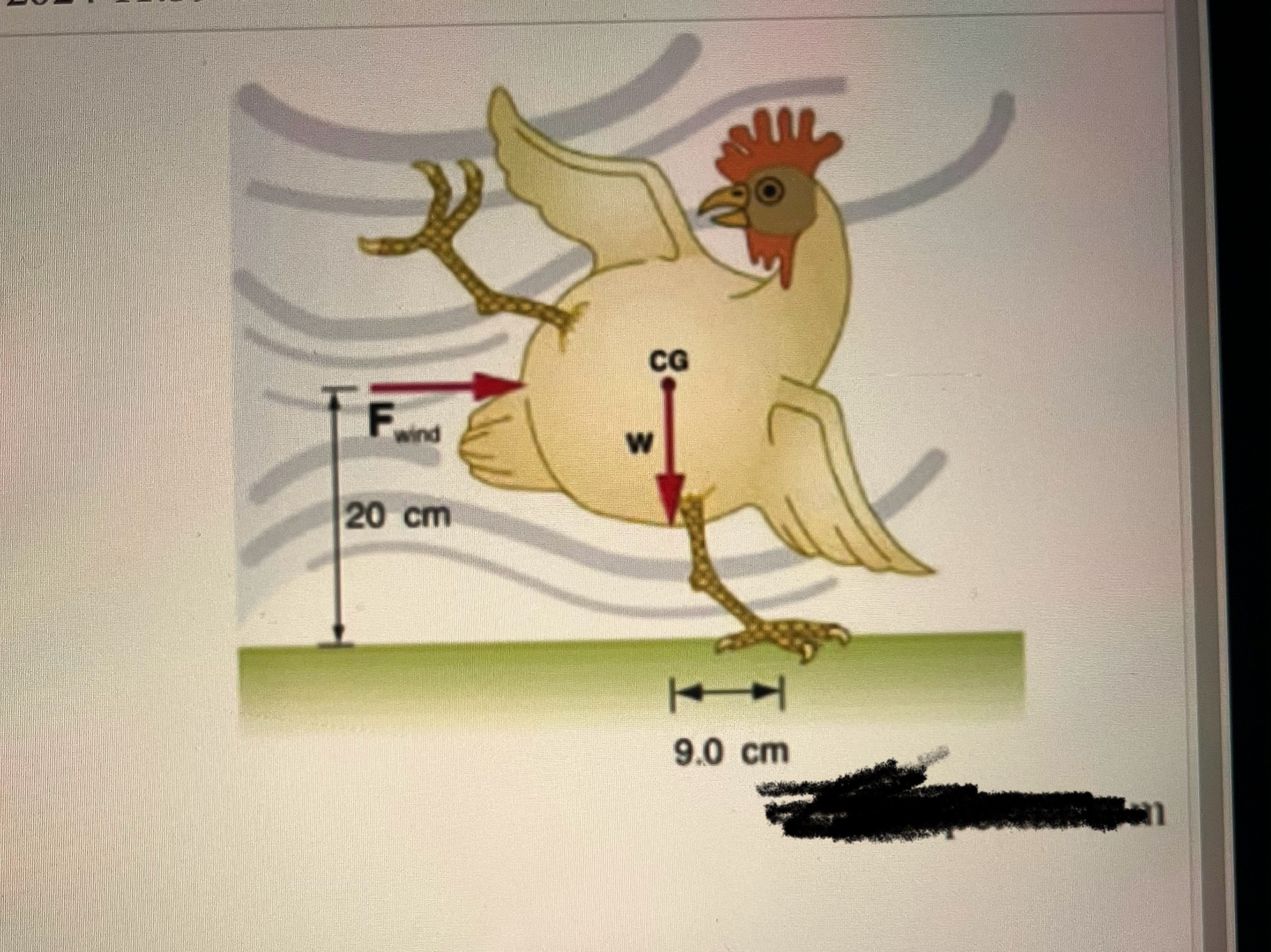 Solved Consider the chicken shown in the figure, which is | Chegg.com