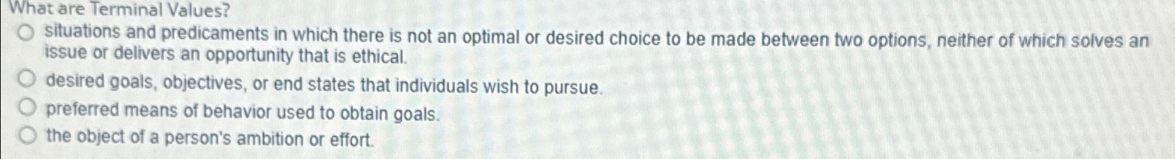 Solved What are Terminal Values?situations and predicaments | Chegg.com