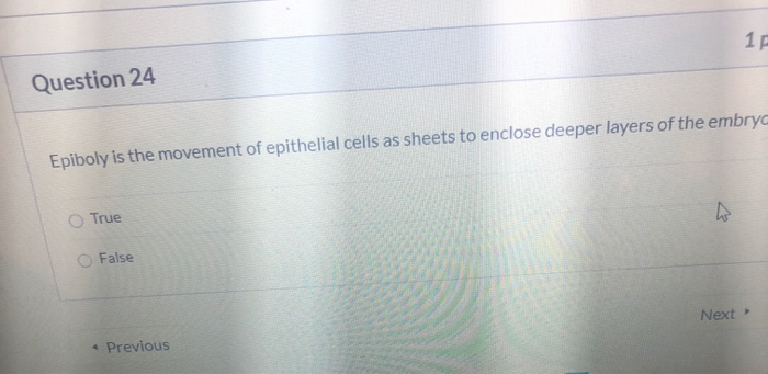 Solved 11 Question 24 Epiboly is the movement of epithelial | Chegg.com
