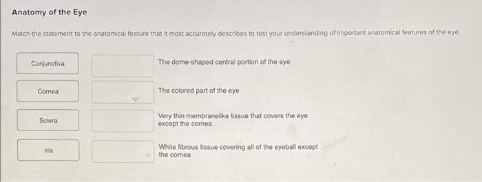 Solved Anatomy of the Eye Match the statement to the | Chegg.com