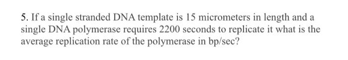 Solved 5. If a single stranded DNA template is 15 | Chegg.com
