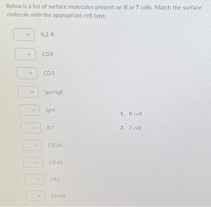 Solved Below is a list of surface molecules present on B or | Chegg.com