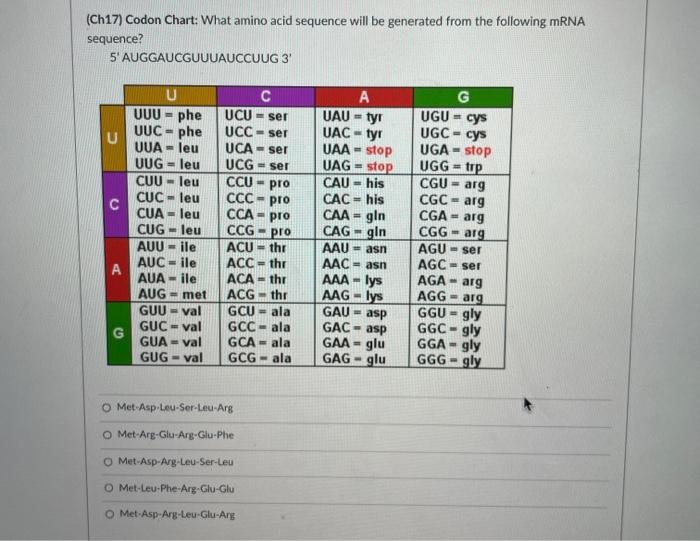 Solved (Ch17) Codon Chart: What amino acid sequence will be | Chegg.com
