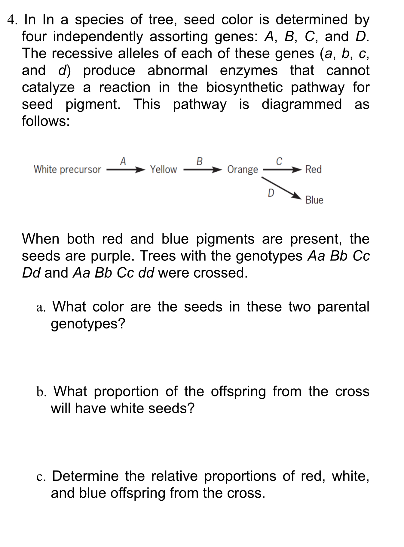 Solved In In a species of tree, seed color is determined | Chegg.com