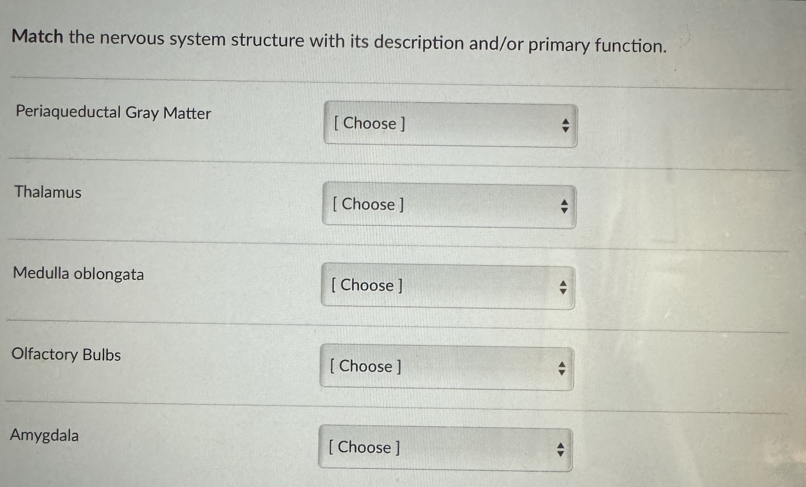 Solved Match the nervous system structure with its | Chegg.com
