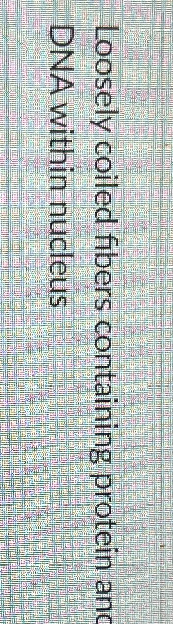 Solved Loosely coiled fibers containing protein anc DNA | Chegg.com