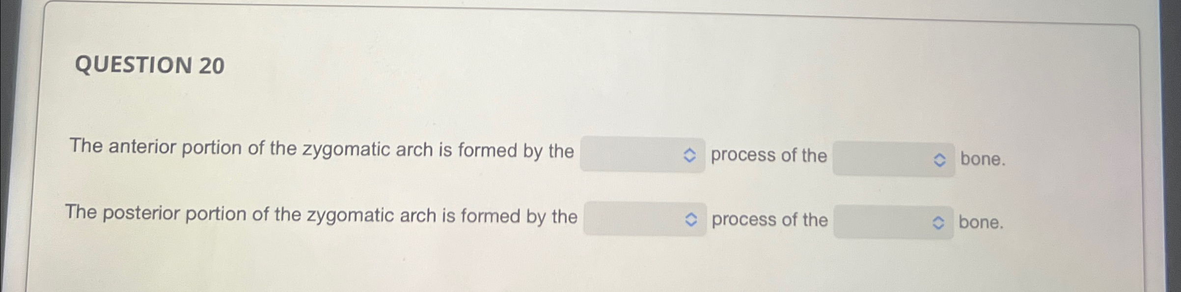 Solved QUESTION 20The anterior portion of the zygomatic arch | Chegg.com