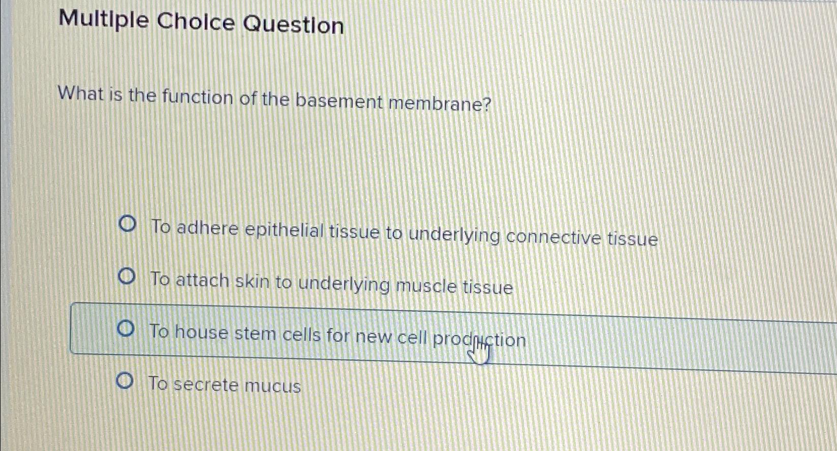 Solved Multiple Cholce QuestionWhat is the function of the | Chegg.com