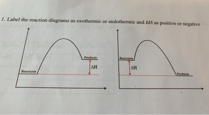 Solved 1. Label the reaction diagrams as exothermic or | Chegg.com