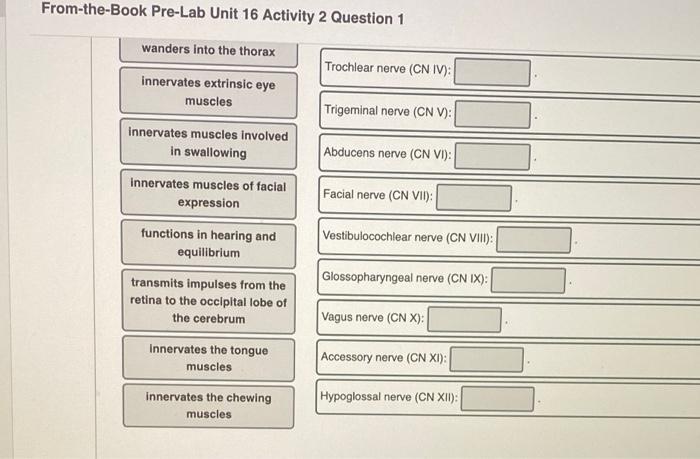 Solved From-the-Book Pre-Lab Unit 16 Activity 2 Question 1 | Chegg.com