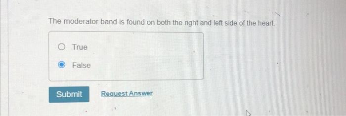 Solved The moderator band is found on both the right and | Chegg.com