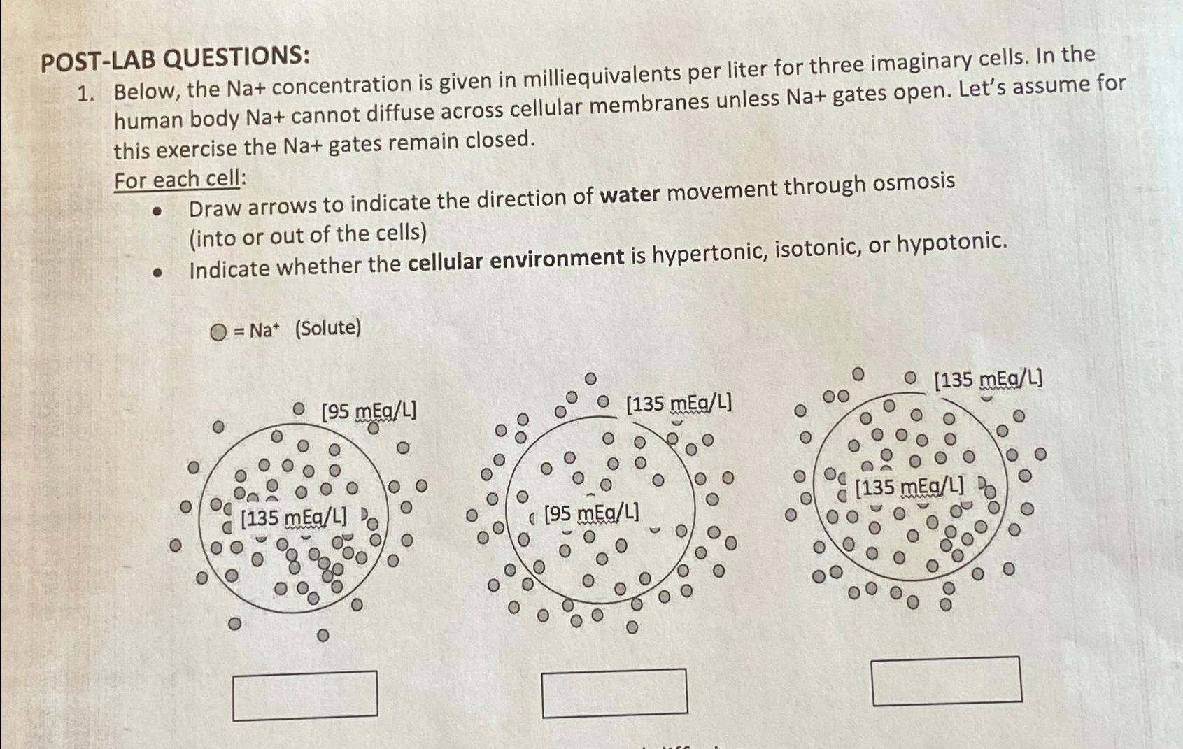 Solved Post Lab Questionsbelow The Na ﻿concentration Is 5625