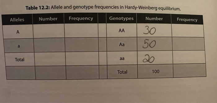Solved Table 12.2: Allele and genotype frequencies in | Chegg.com