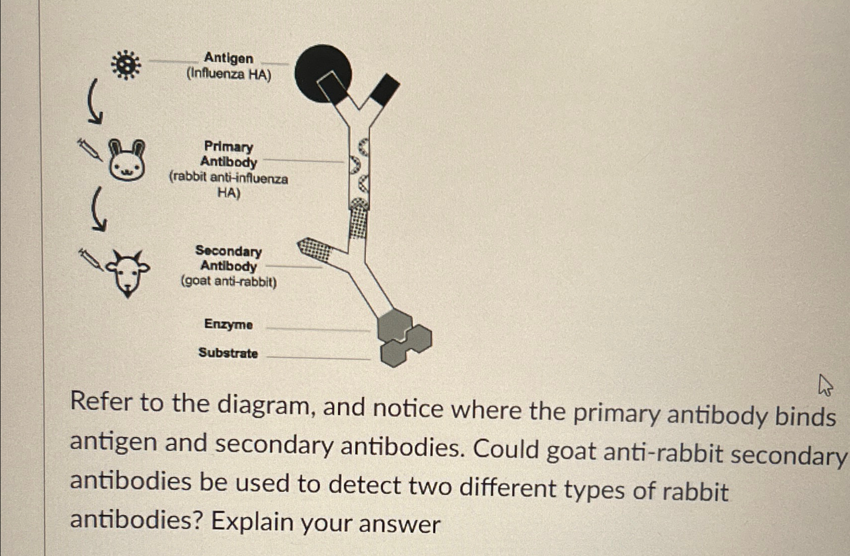 Solved Refer to the diagram, and notice where the primary | Chegg.com