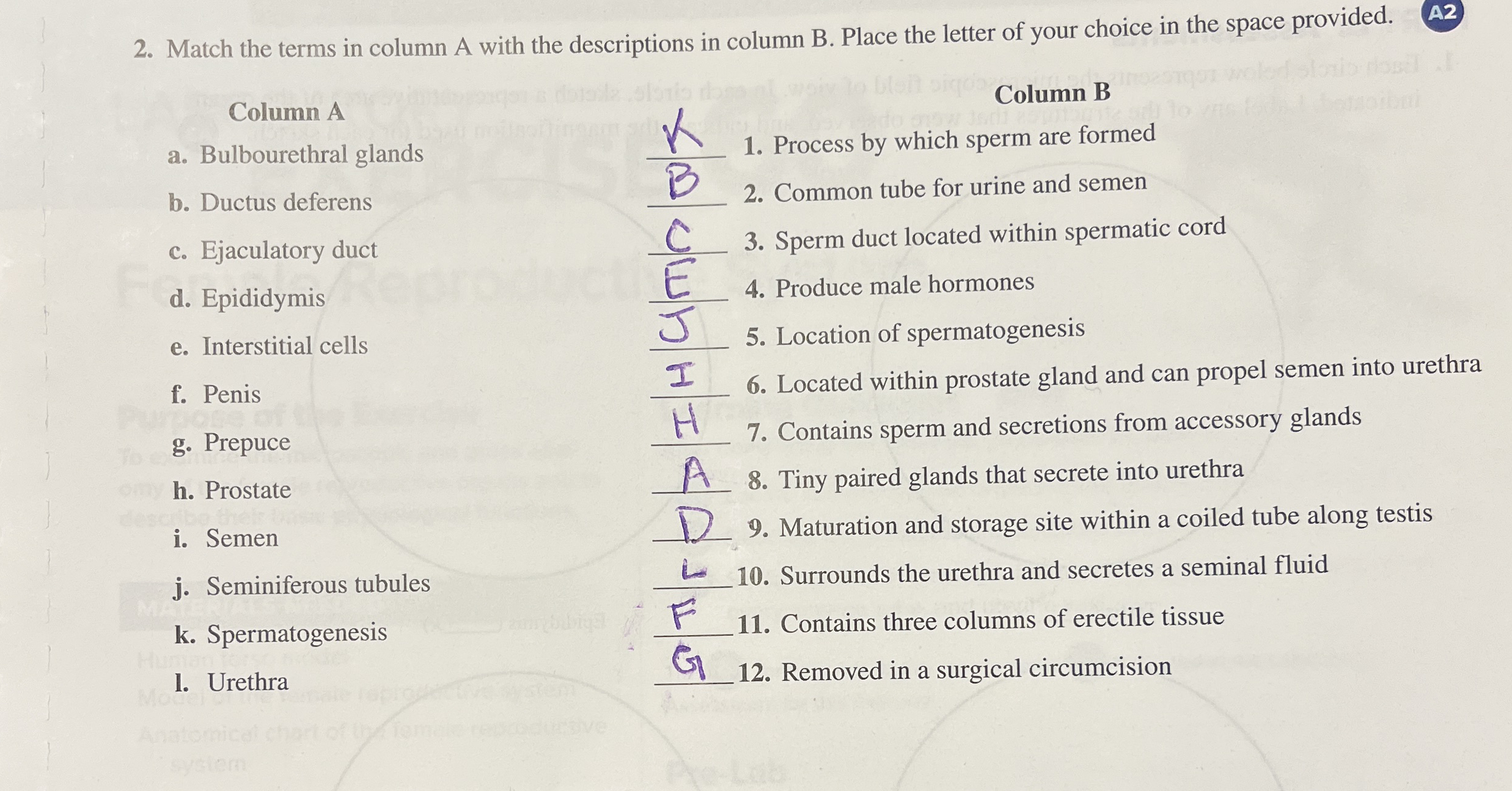 Solved by an EXPERT Match the terms in column A with the descriptions in | Chegg.com