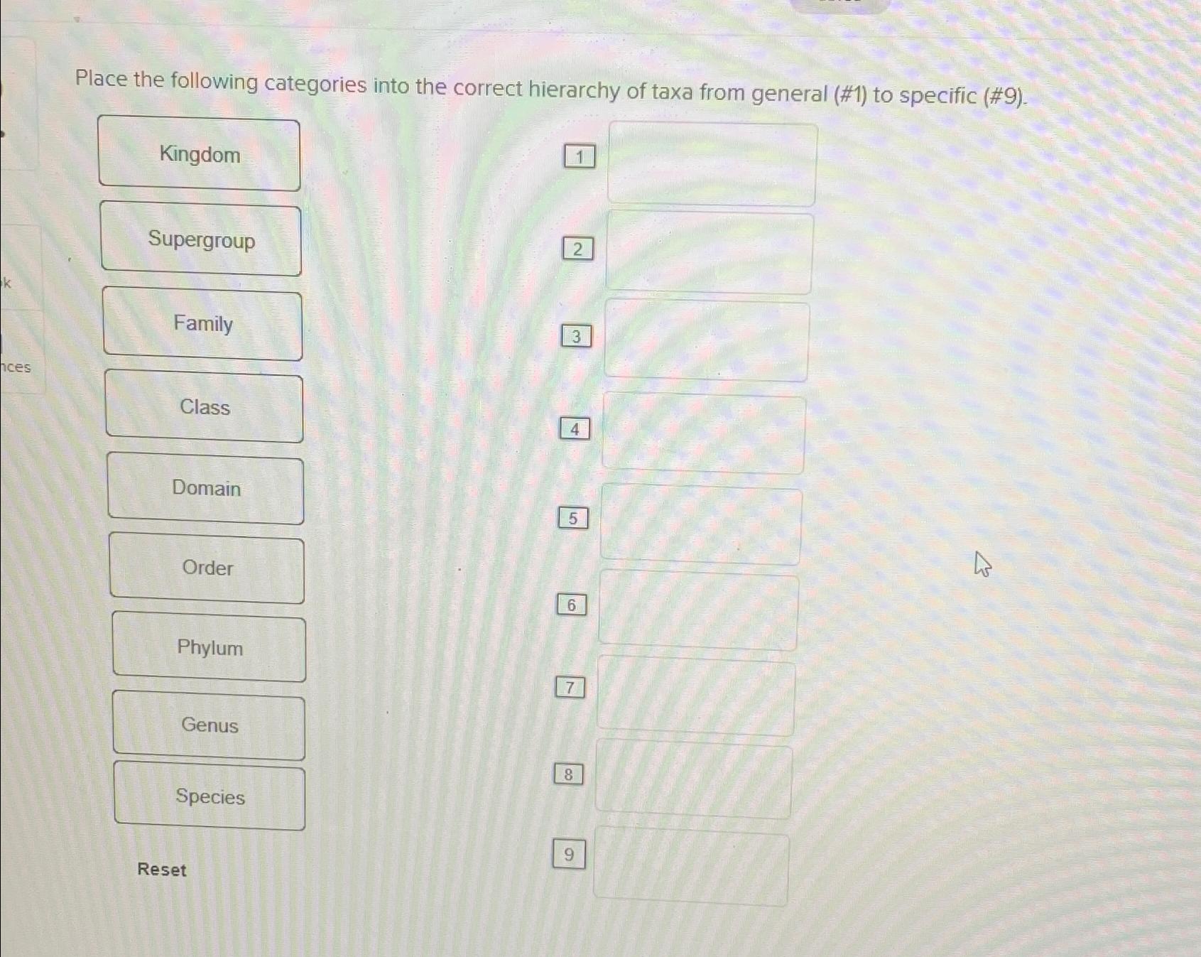 Solved Place the following categories into the correct | Chegg.com