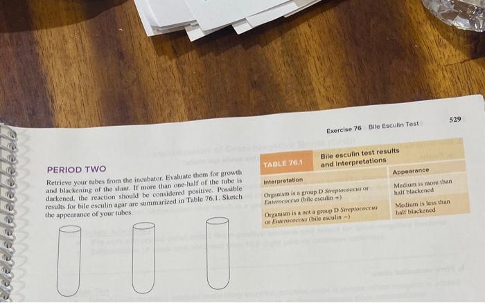 Solved Bile Esculin Test acidic conditions, many bacteria | Chegg.com