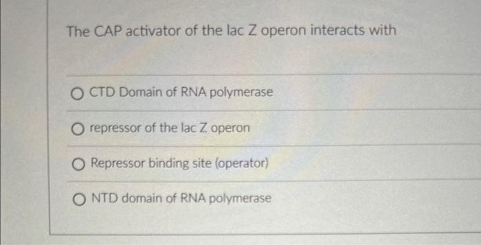 Solved The CAP activator of the lac Z operon interacts with | Chegg.com