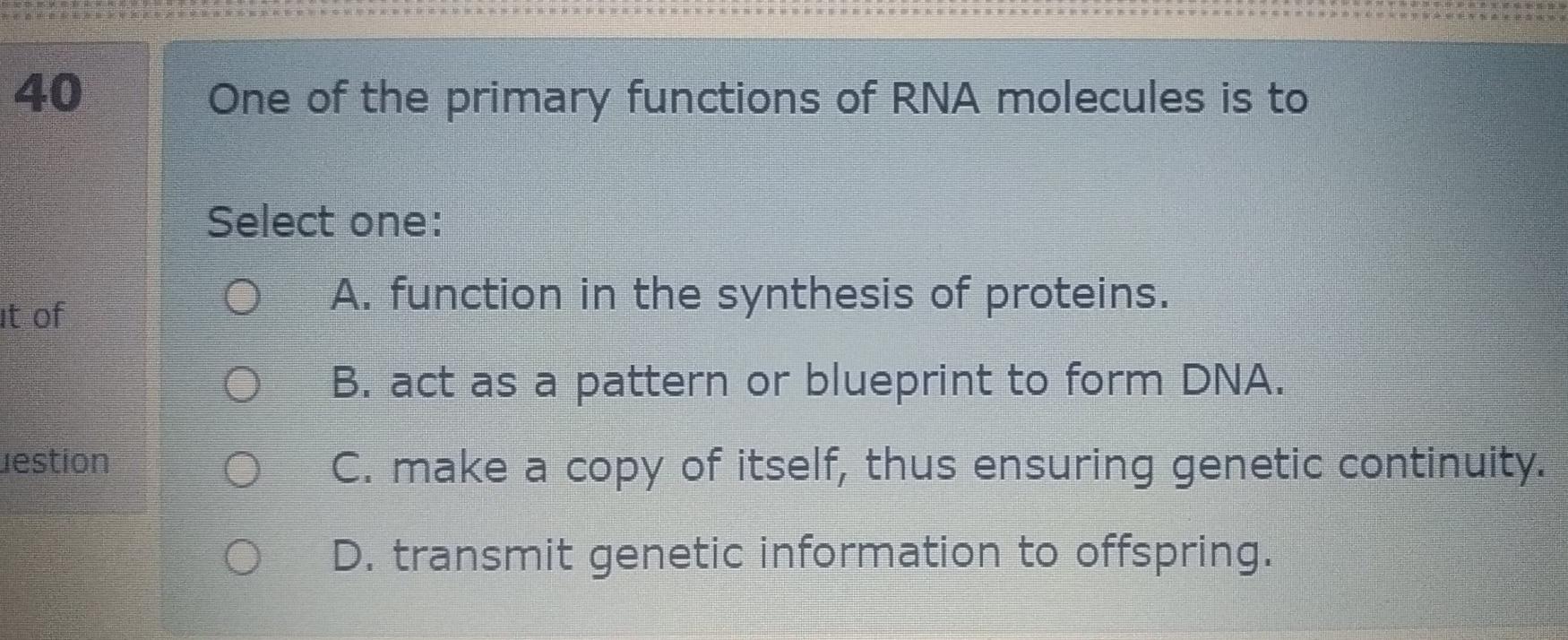 Solved 40 One of the primary functions of RNA molecules is | Chegg.com