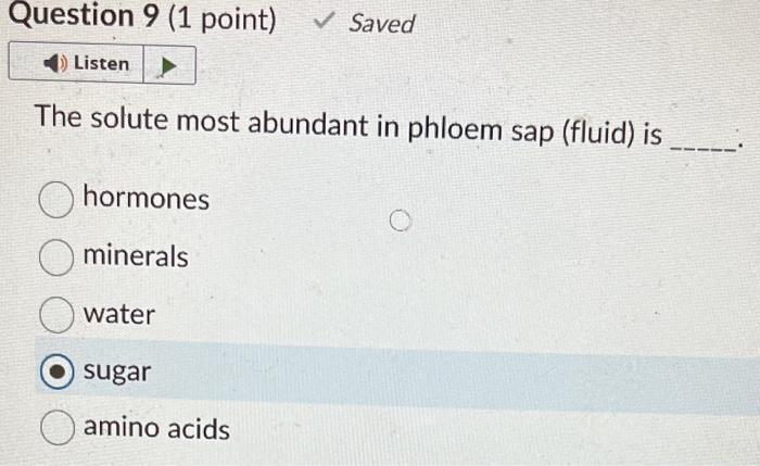 Solved The solute most abundant in phloem sap (fluid) is | Chegg.com