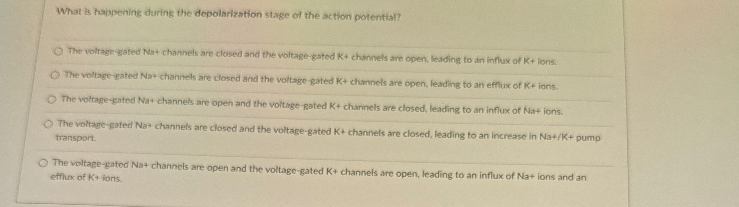 Solved What is happening during the depolarization stage of | Chegg.com