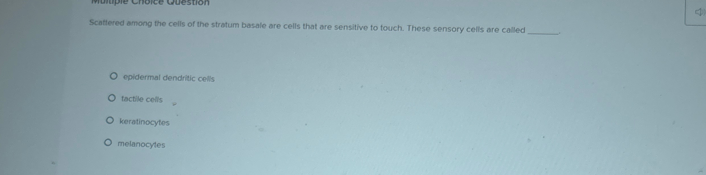 Solved Scattered among the cells of the stratum basale are | Chegg.com