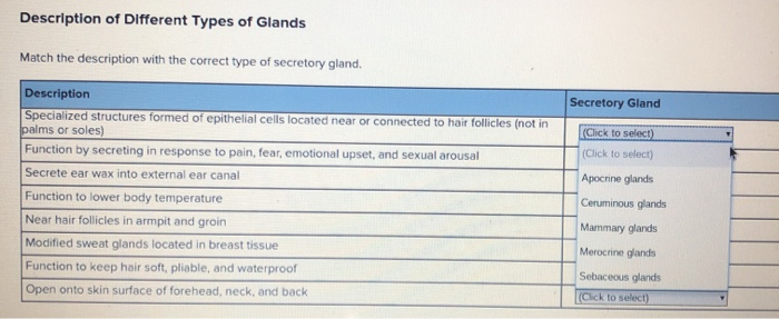 Solved Description of Different Types of Glands Match the | Chegg.com