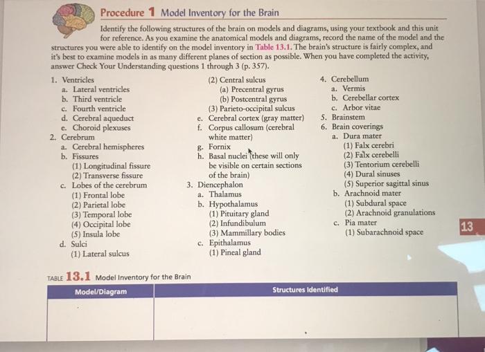 Procedure 1 Model Inventory for the Brain Identify | Chegg.com
