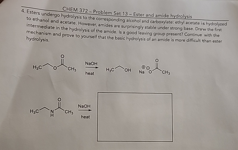 Solved CHEM 372 - ﻿Problem Set 13 - ﻿Ester and amide | Chegg.com