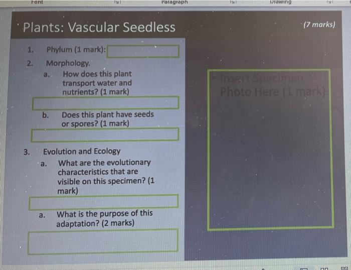 Solved Font Paragraph Drawing INT Plants: Vascular Seedless | Chegg.com