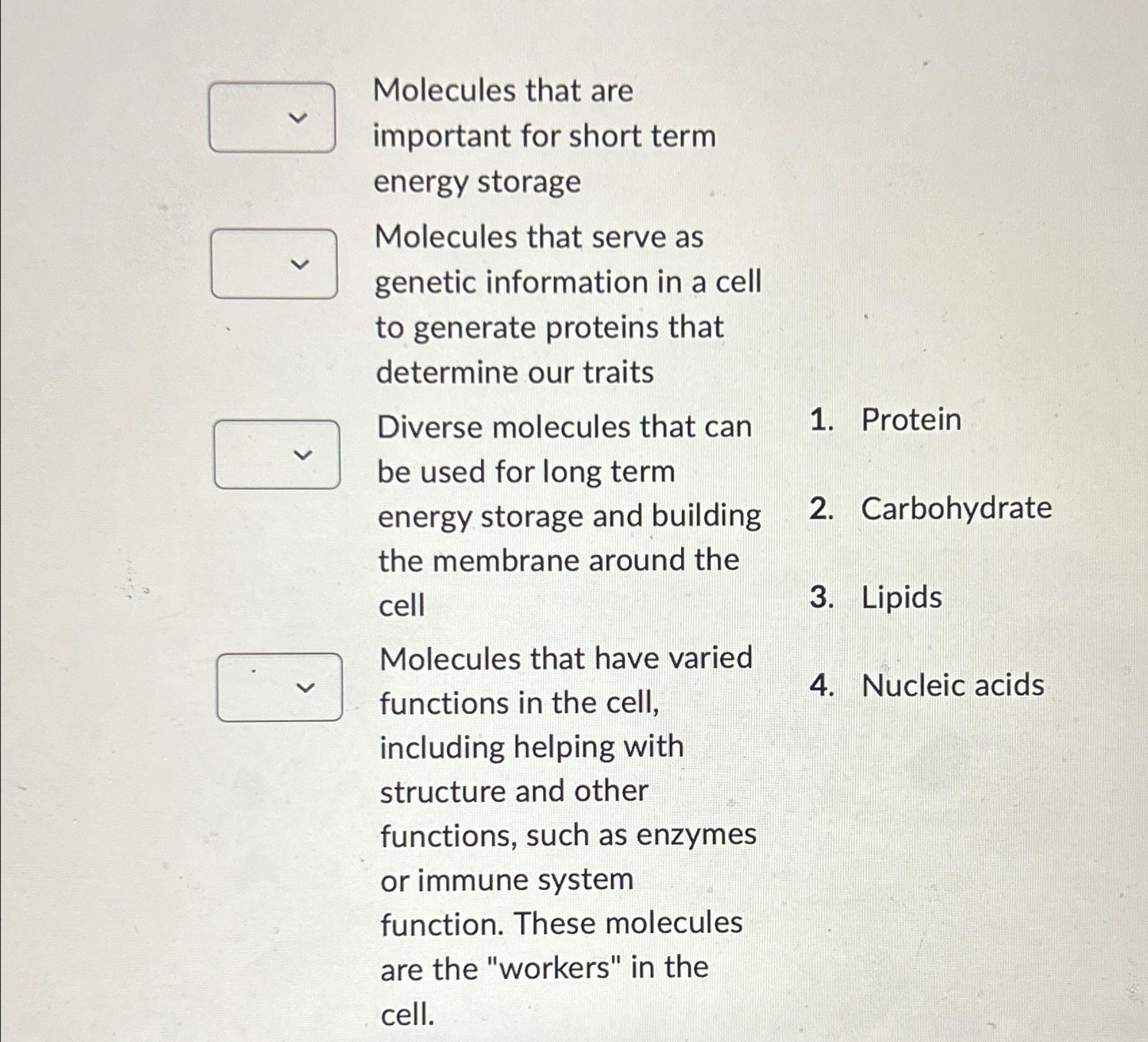 Solved Molecules that are important for short term energy | Chegg.com