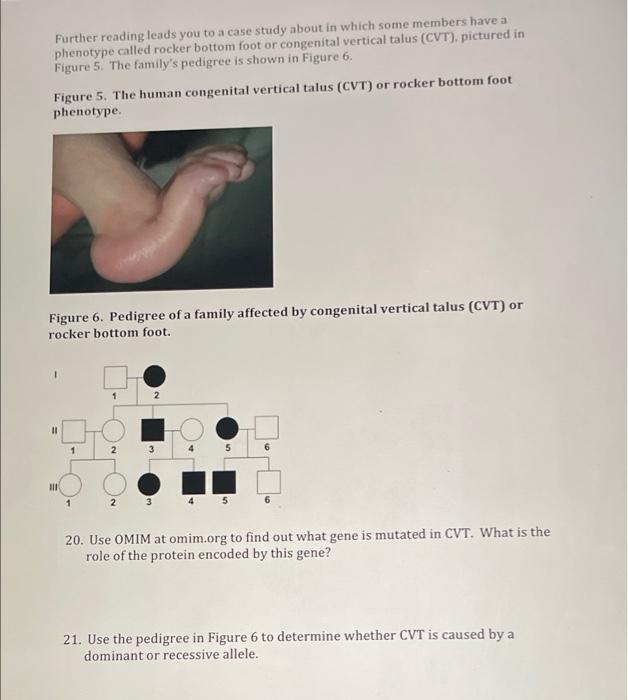 Solved Further reading leads you to a case study about in | Chegg.com