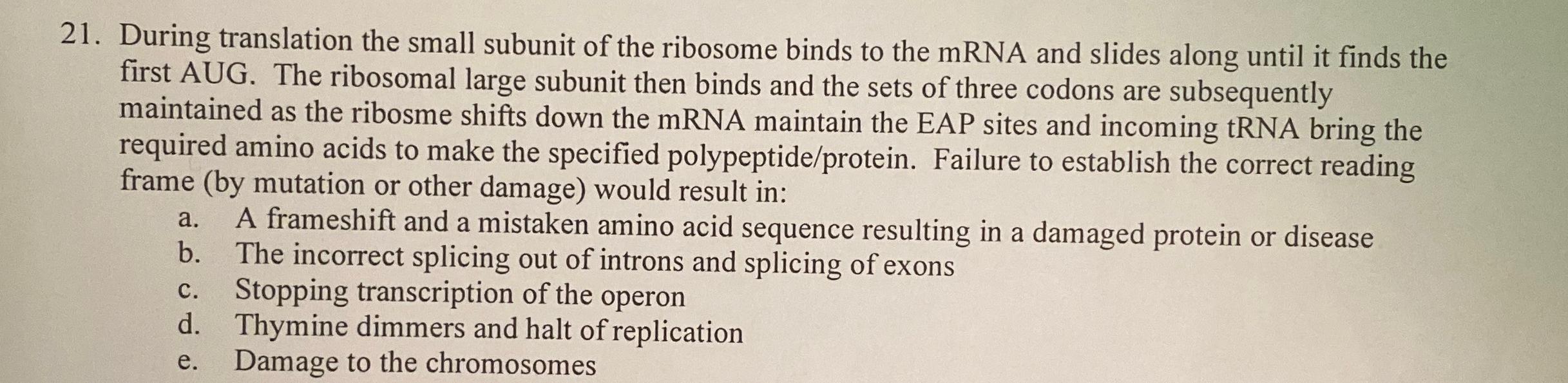 Solved During translation the small subunit of the ribosome | Chegg.com