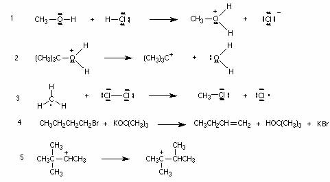 Solved Which one of the following involves a homolytic bond | Chegg.com