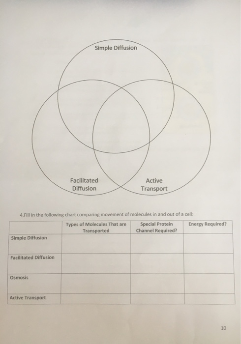 Solved Simple Diffusion Facilitated Diffusion Active | Chegg.com