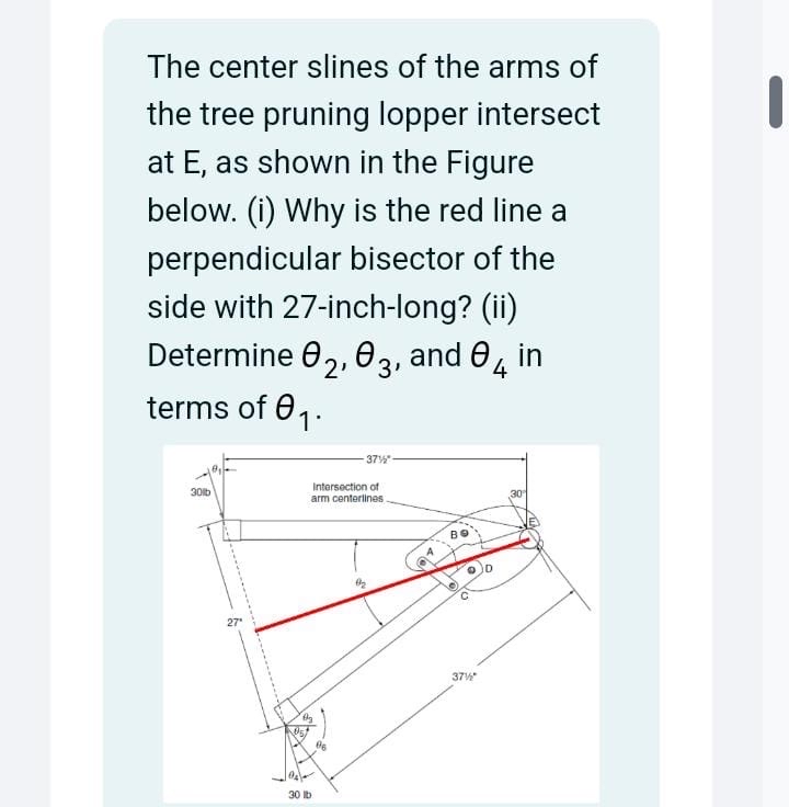 The center slines of the arms of the tree pruning | Chegg.com