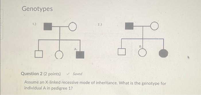 Solved Genotypes 1.) A. 2.) Saved B. Question 2 (2 points) | Chegg.com