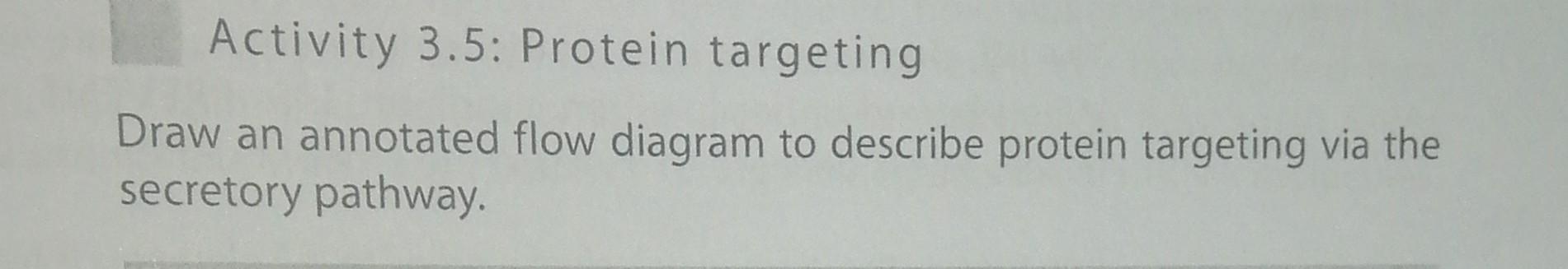 Solved Activity 3.5: Protein targeting Draw an annotated | Chegg.com