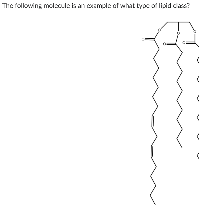 The following molecule is an example of what type of | Chegg.com