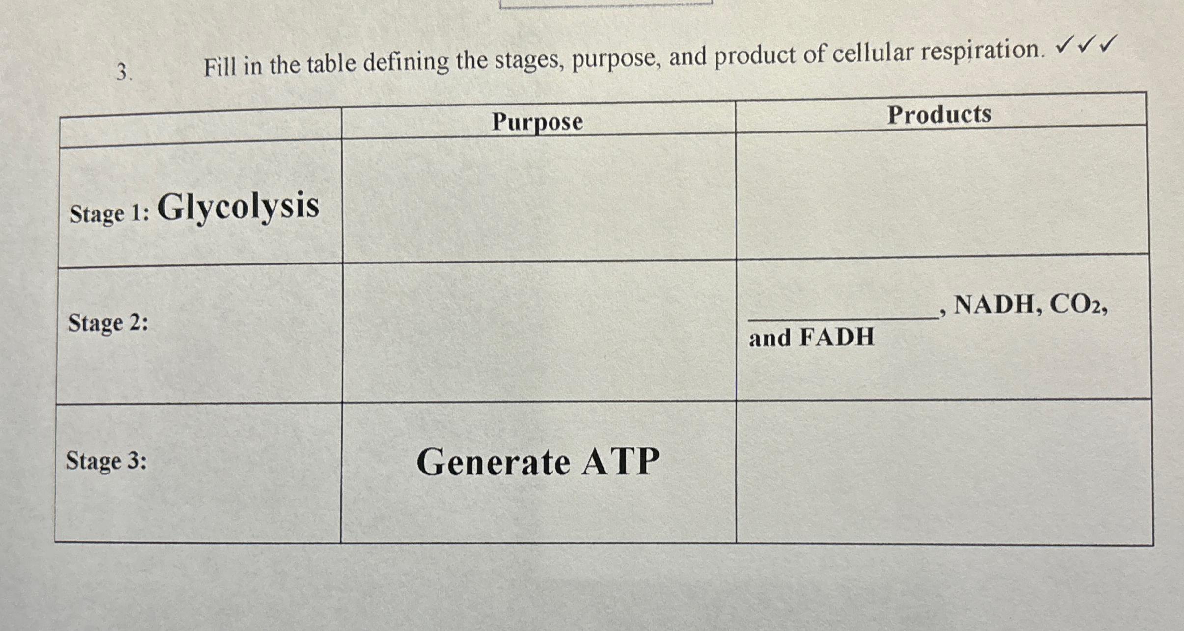 Solved Fill in the table defining the stages, purpose, and | Chegg.com