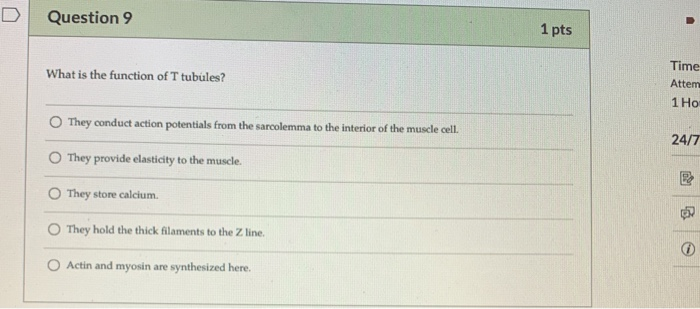 Solved Question 9 1 pts What is the function of T tubules? | Chegg.com