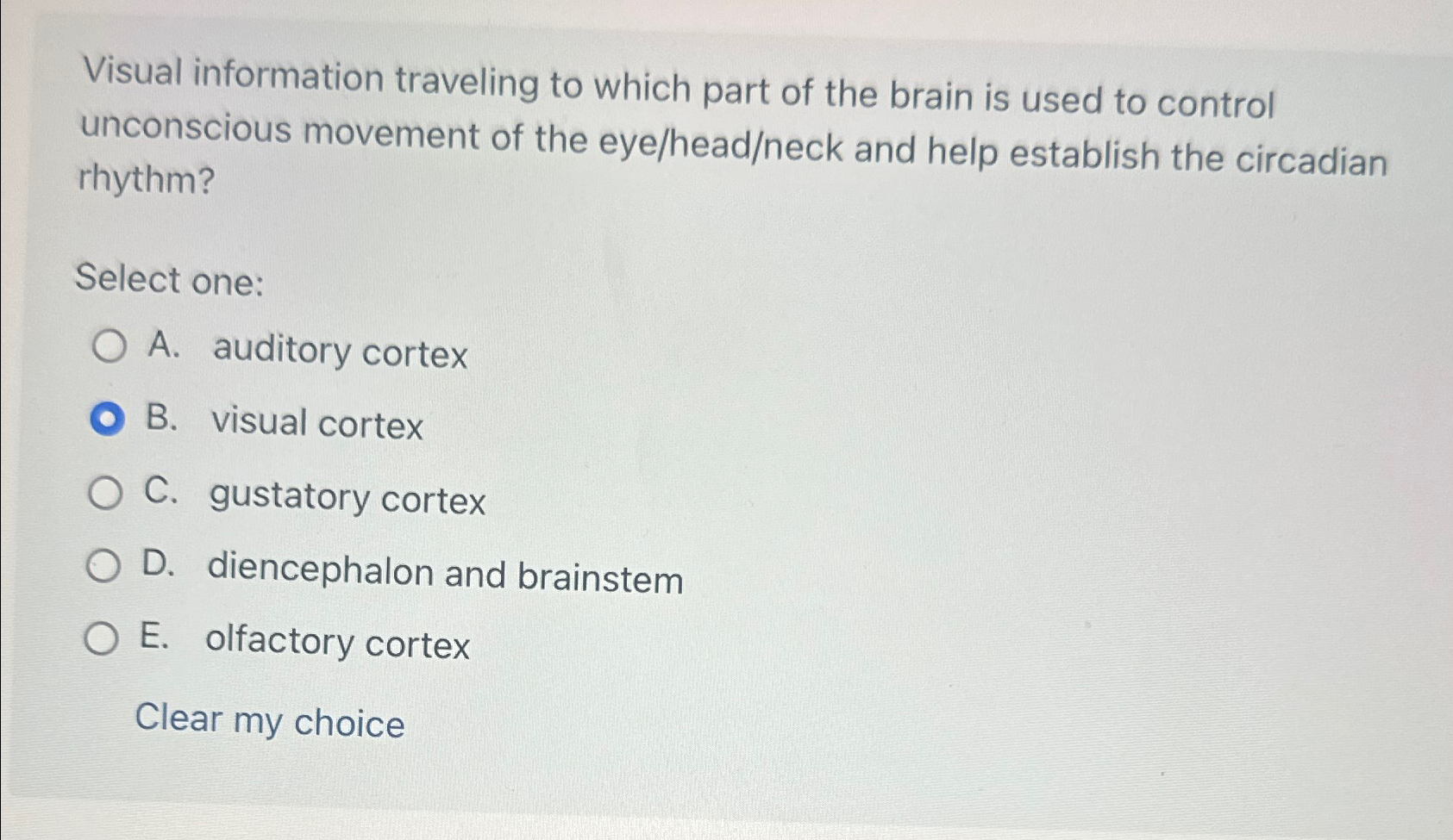 Solved Visual information traveling to which part of the | Chegg.com
