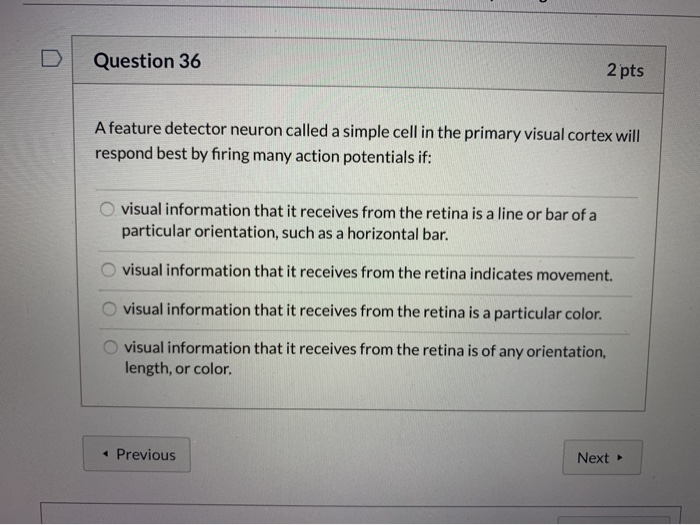 Solved Question 36 2 pts A feature detector neuron called a | Chegg.com